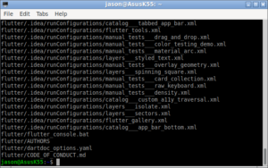 Installing Flutter, VS Code and Android Studio on Debian 11